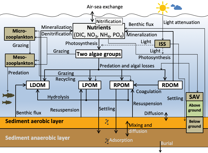 Water Quality Framework